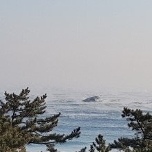 보험짱 프로필 : 지식iN