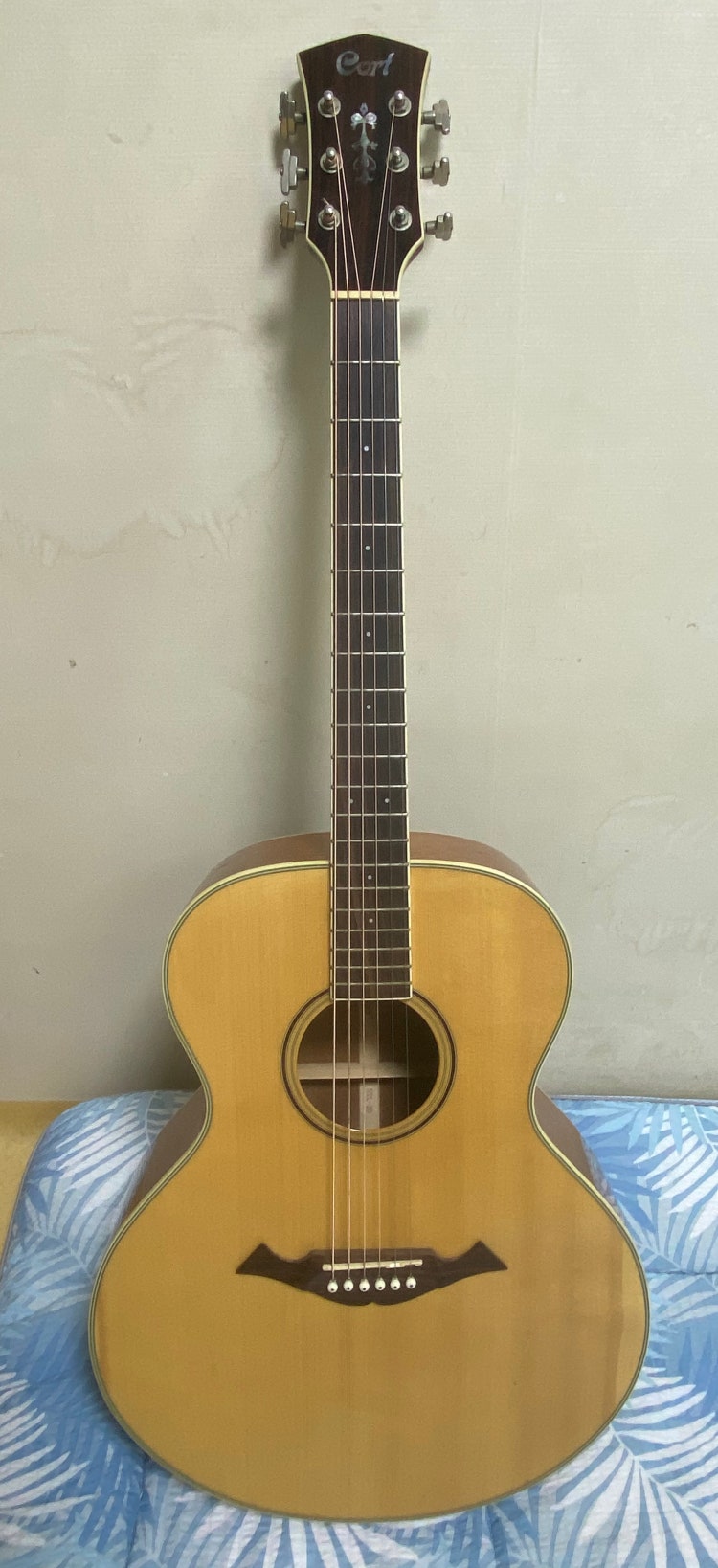 CORT 기타 이름 : 지식iN