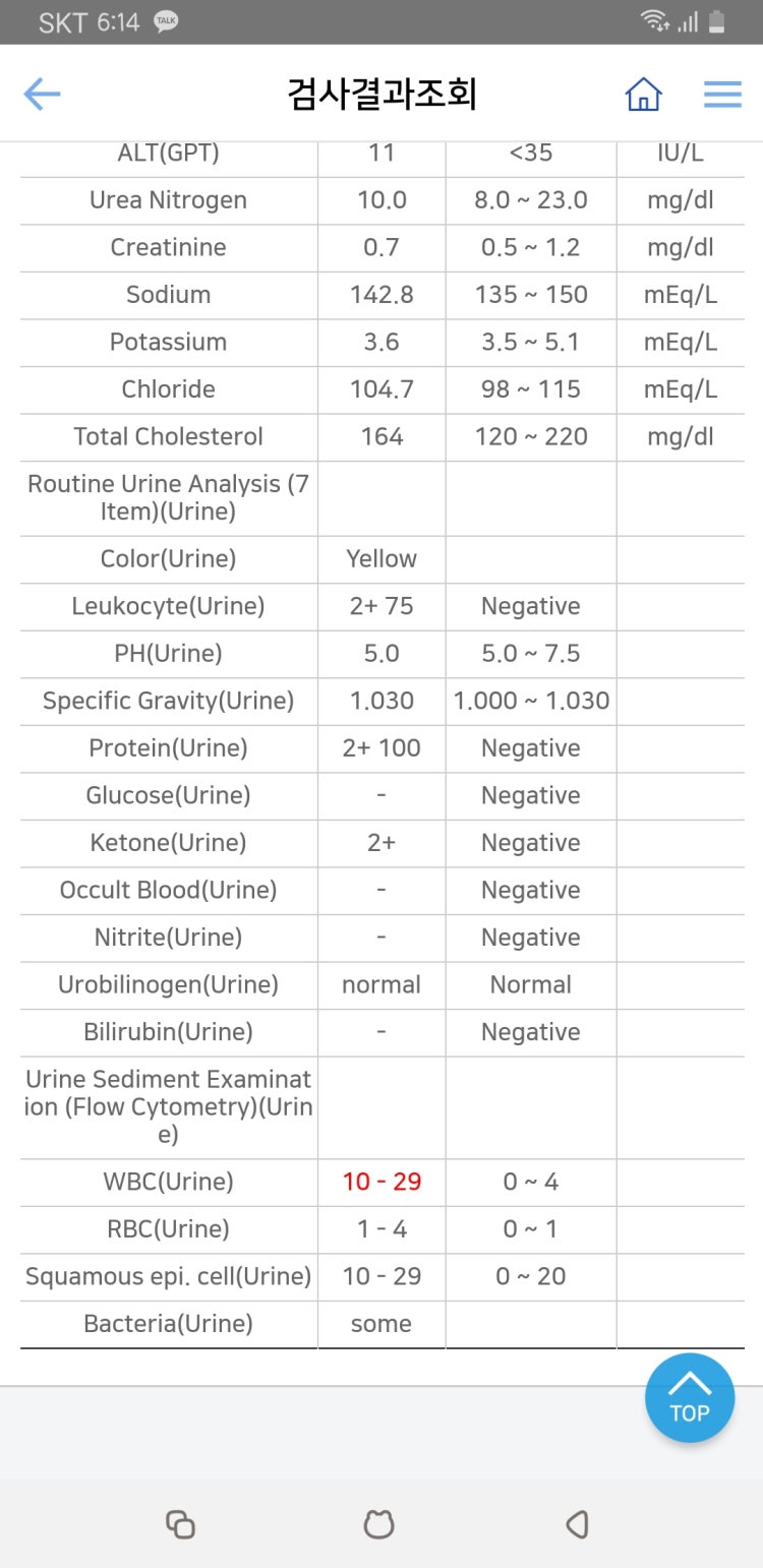 WBC(Urine) 수치 : 지식iN
