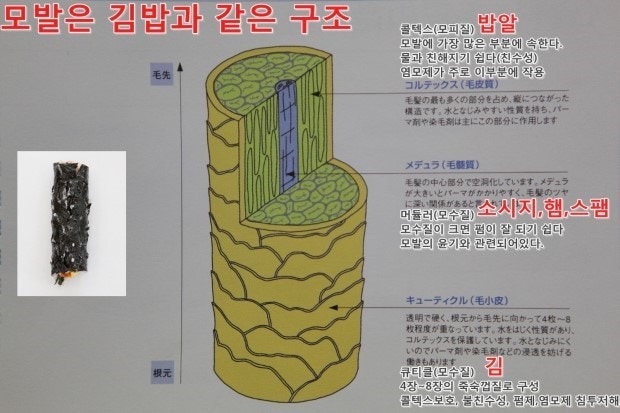 파마약 1제 2제랑 매직 스트레이트 할때 1제 2제랑 똑같은 건가요?