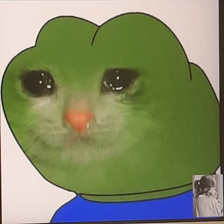 슬픈개구리 고양이 짤 지식in