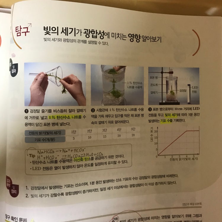 중2 과학 탐구 빛의 세기가 광합성에 미치는 영향 알아보기 지식in