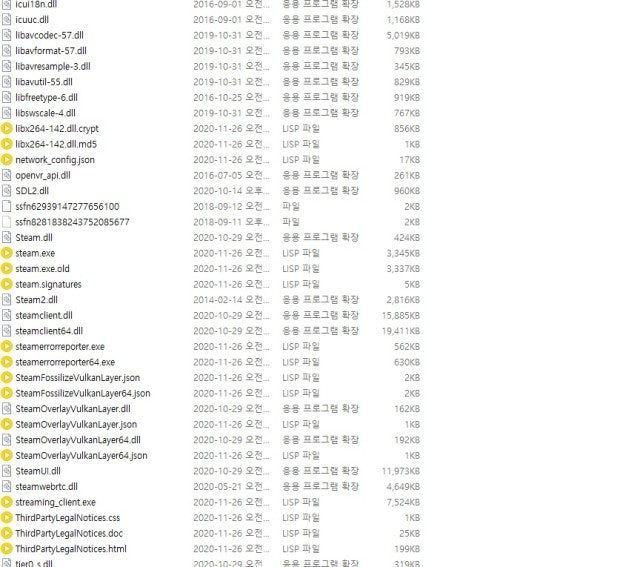 모든 obj,ztl,avi,exe파일 들이 확장자가 LISP로 바뀌어서 아무것도 안됩니다. : 지식iN