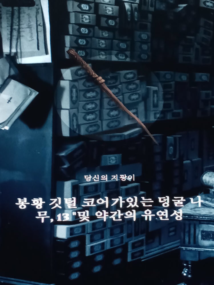 해리포터 지팡이 해석 봉황깃털코어가 있는 덩굴나무 지식in