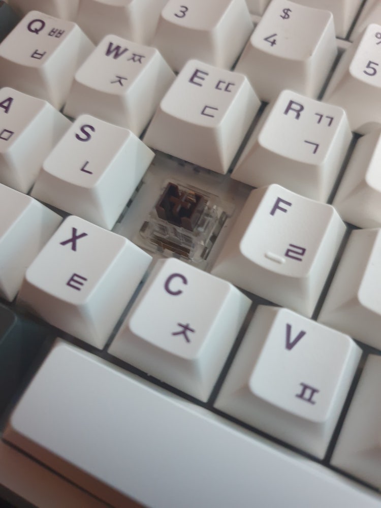 ck01 pbt 키 씹힘 질문 : 지식iN