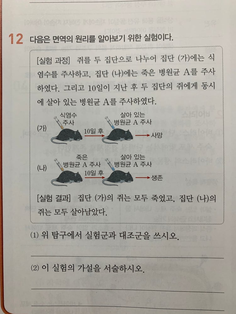 생명1 연역적 탐구 문제 제발 도와주세요 지식in