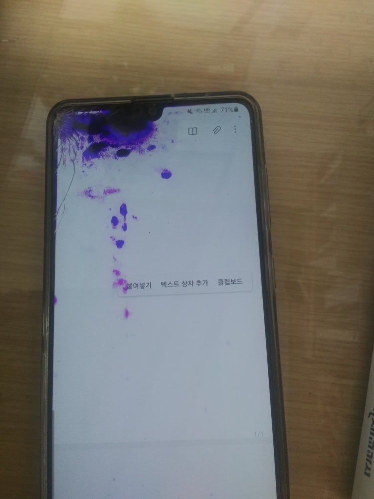 핸드폰 액정이 깨졌는데 보라색 점이 있어요 지식in