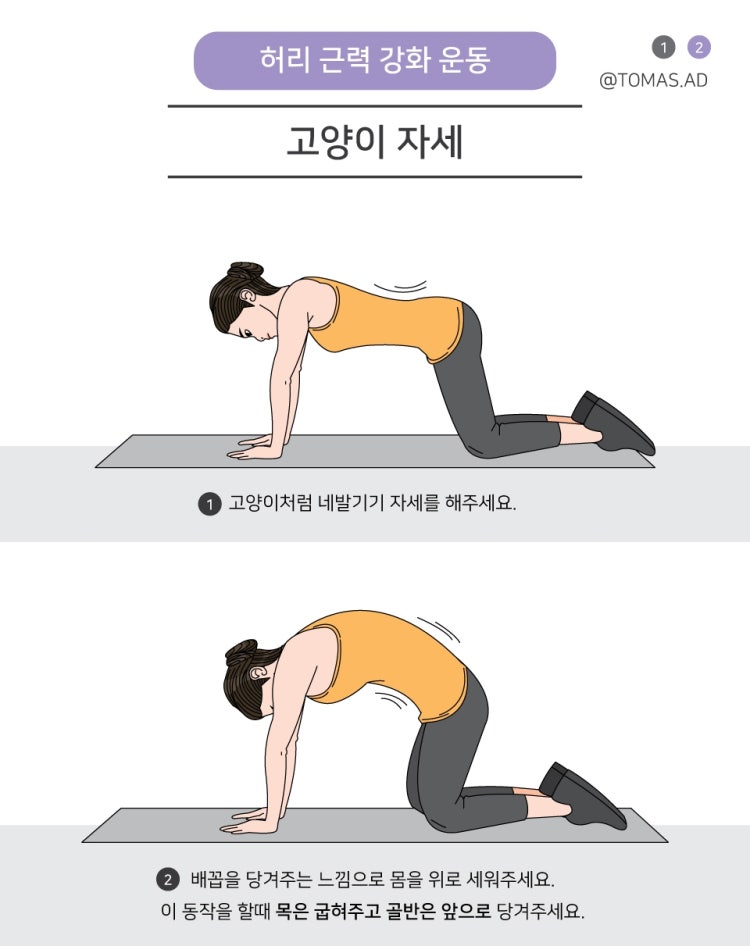 고양이자세 캣카우 동작 통증 : 지식iN