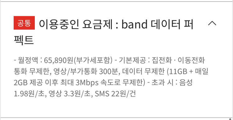 Skt band 데이터 퍼펙트 : 지식iN