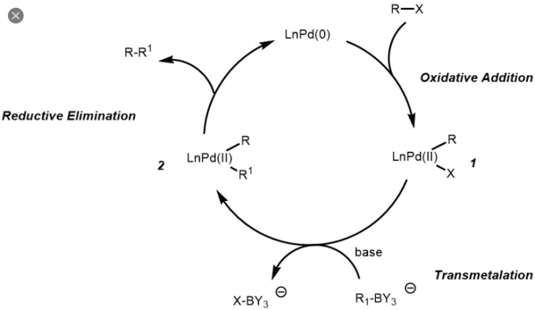 bbr3로 demethylation 질문입니다 : 지식iN