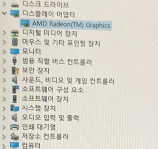 그래픽카드 AMD Radeon(TM) Graphics 질문입니다. : 지식iN