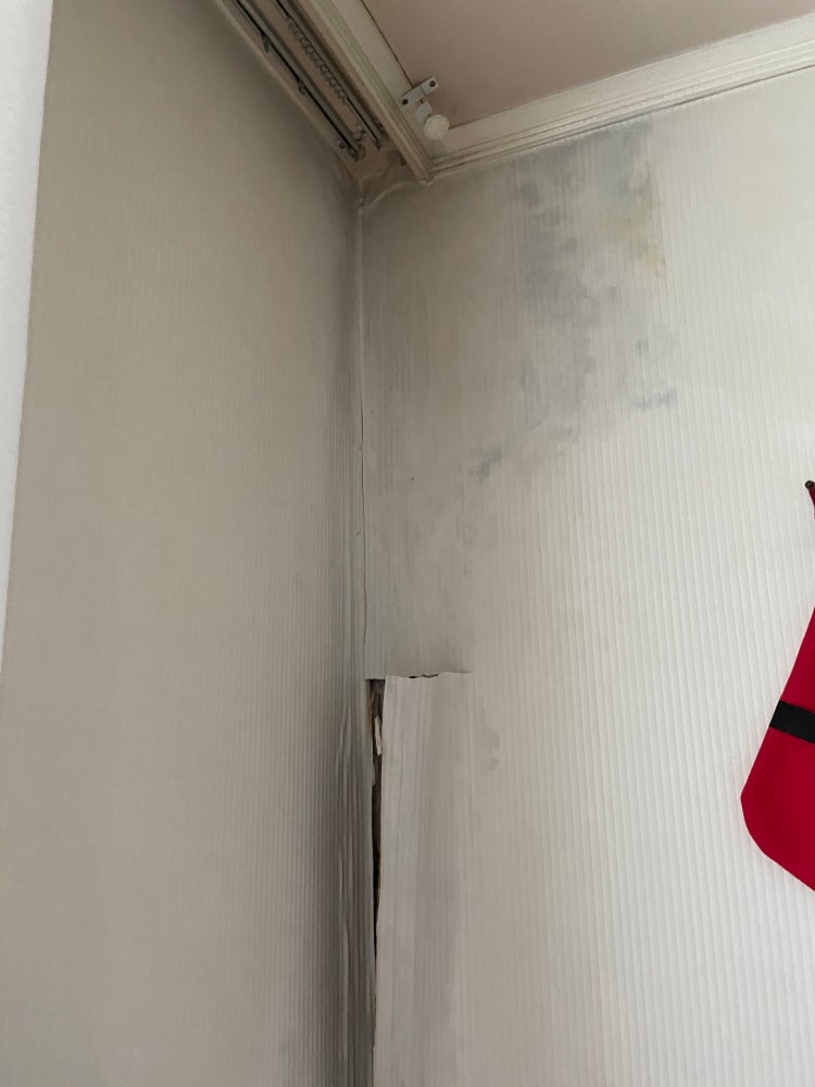 윗집 누수로 인해 거실 벽면 곰팡이가 생겼어요 도배만 하면 해결되는 부분일까요 지식in