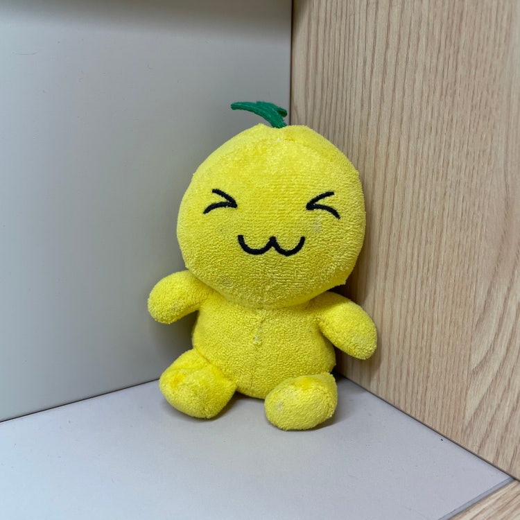인형 캐릭터 이름 찾아주세요 지식in