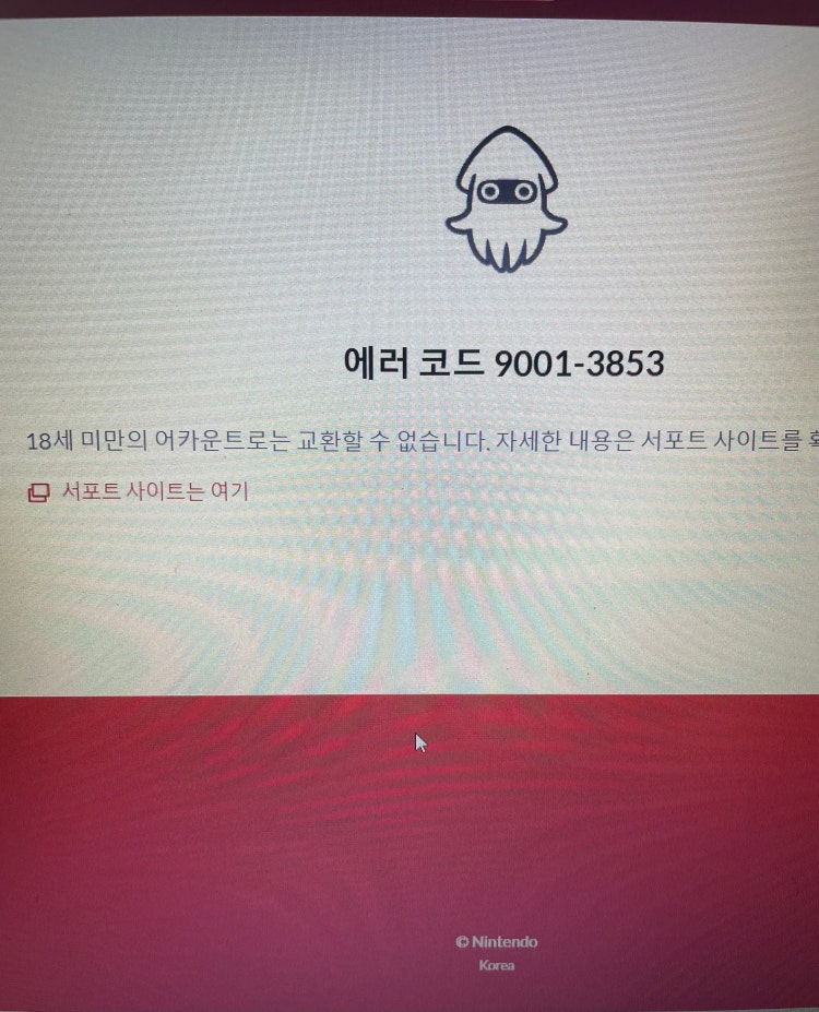 닌텐도 어카운트 : 지식iN