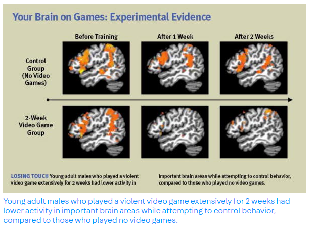 게임과 뇌 : 지식iN