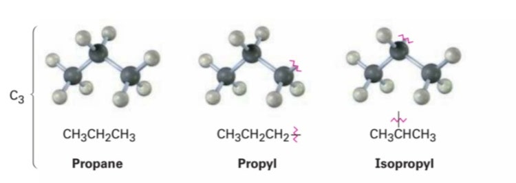 Isopropyl : 지식iN