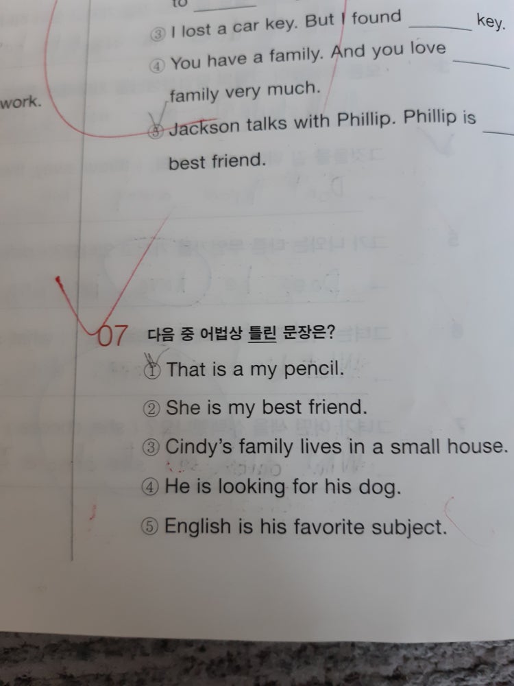 영어 문법 질문 지식in