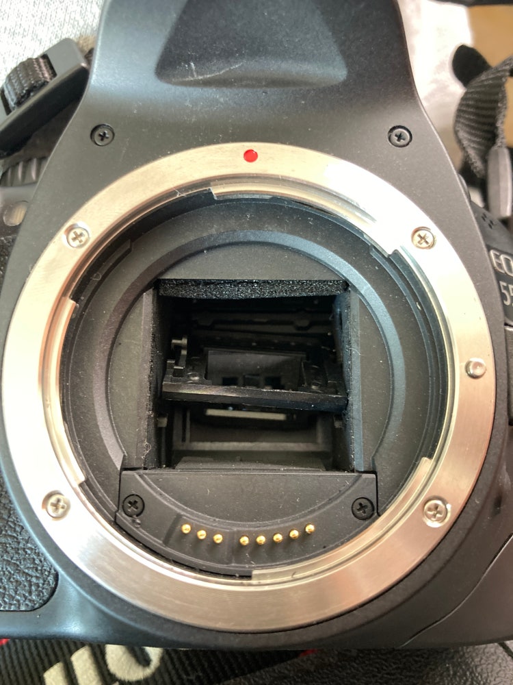 캐논 550d 고장? : 지식iN