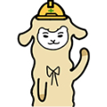 wogu**** 프로필 : 지식iN