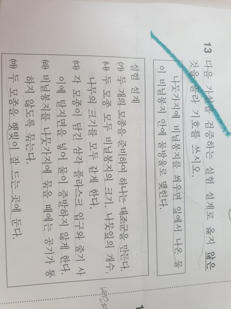 과학 6학년 1학기 식물의 구조와기능 가설을 검증하는 실험 설계 올지않은건 뭔가요ㅠ 지식in