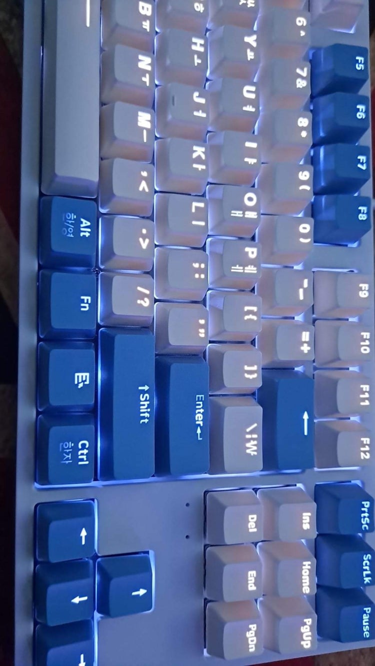 ck87 구입 led질문 : 지식iN