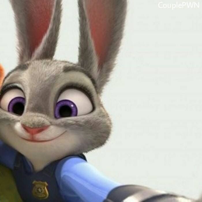 주토피아 닉주디 커플프사 : 지식iN