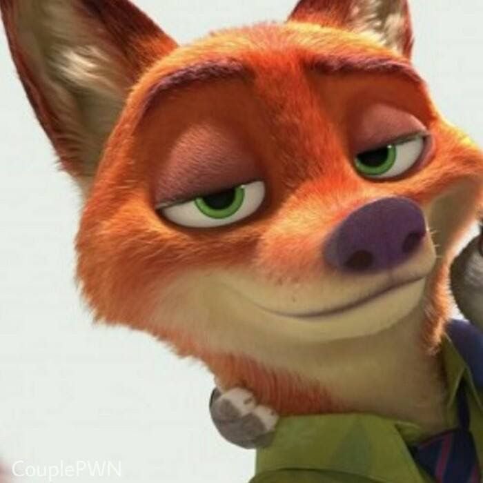 주토피아 닉주디 커플프사 : 지식iN