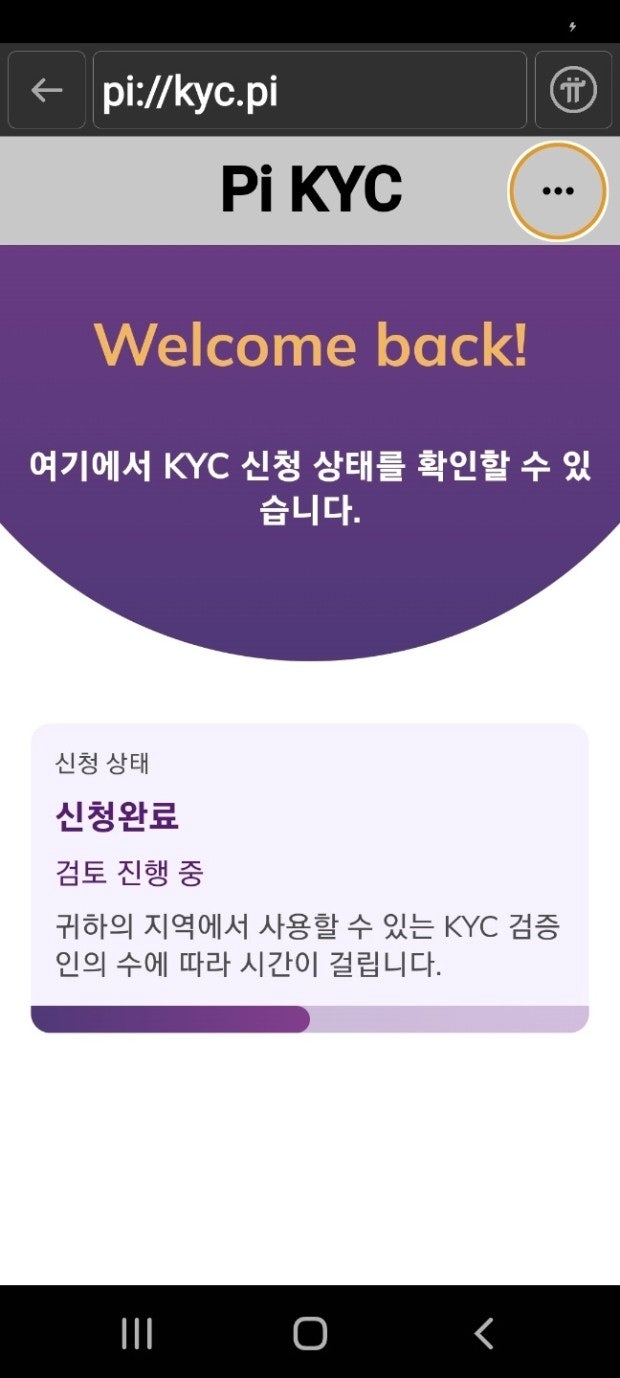 pi-pi-kyc-in