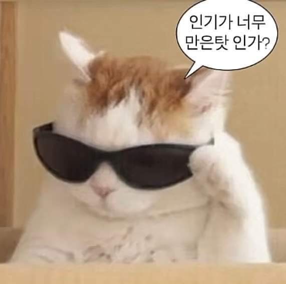 짤 궁금증 : 지식iN