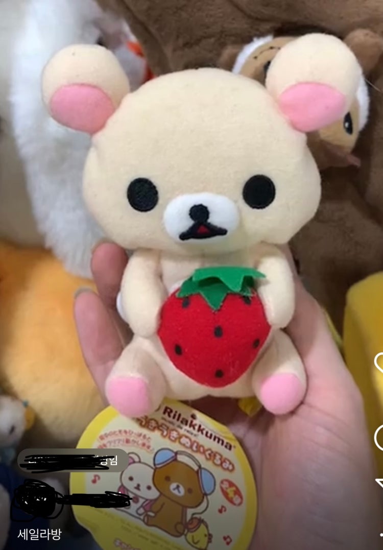 리락쿠마 인형 찾아요 : 지식iN