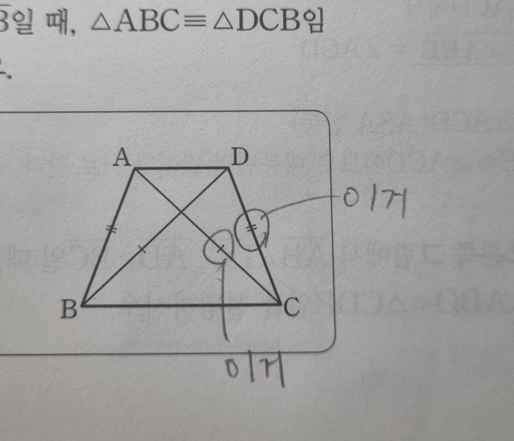 중1 2학기 수학 이 선은 : 지식iN