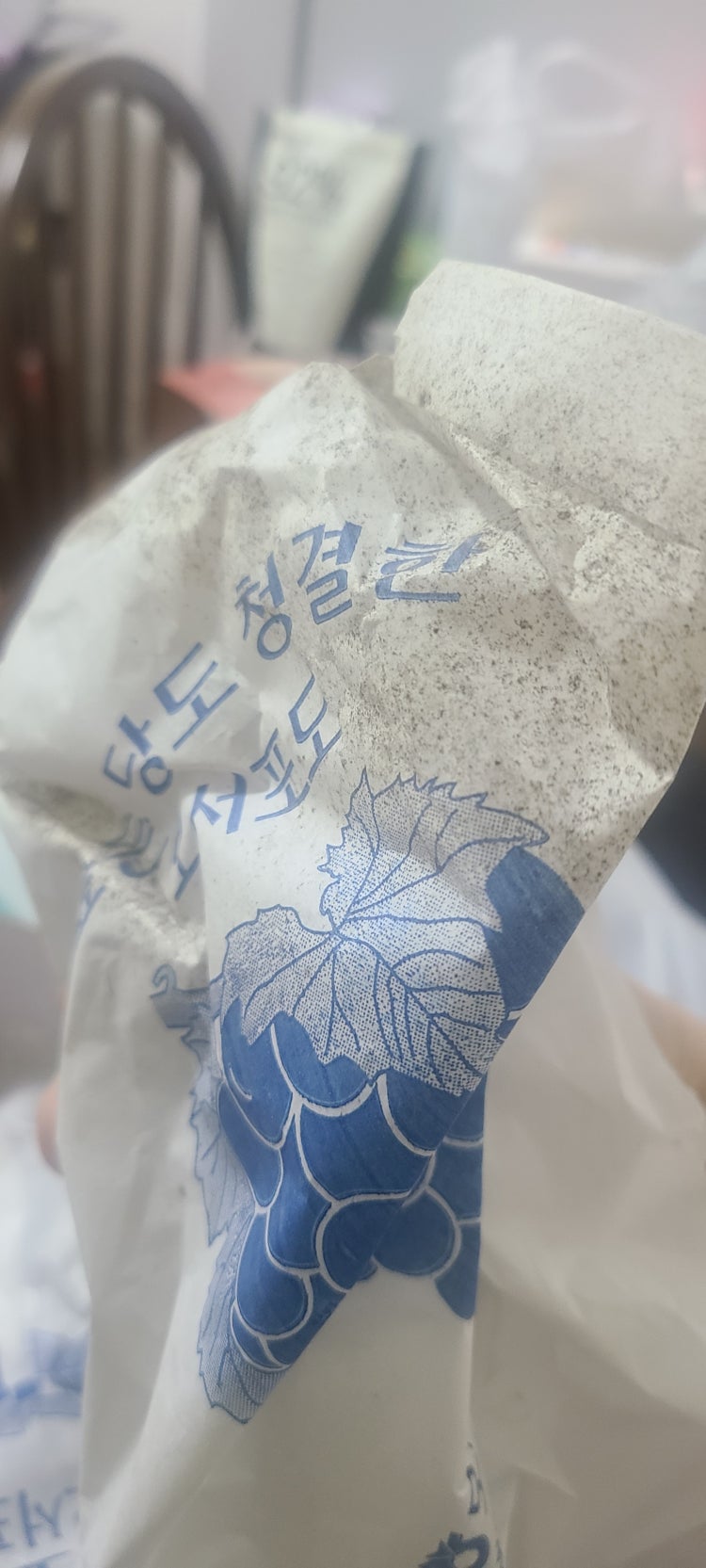 이거 곰팡이 인가요 지식in
