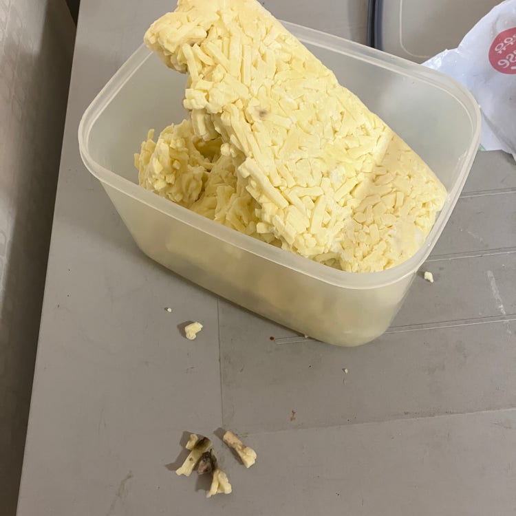 피자치즈 곰팡이 썩은거 지식in