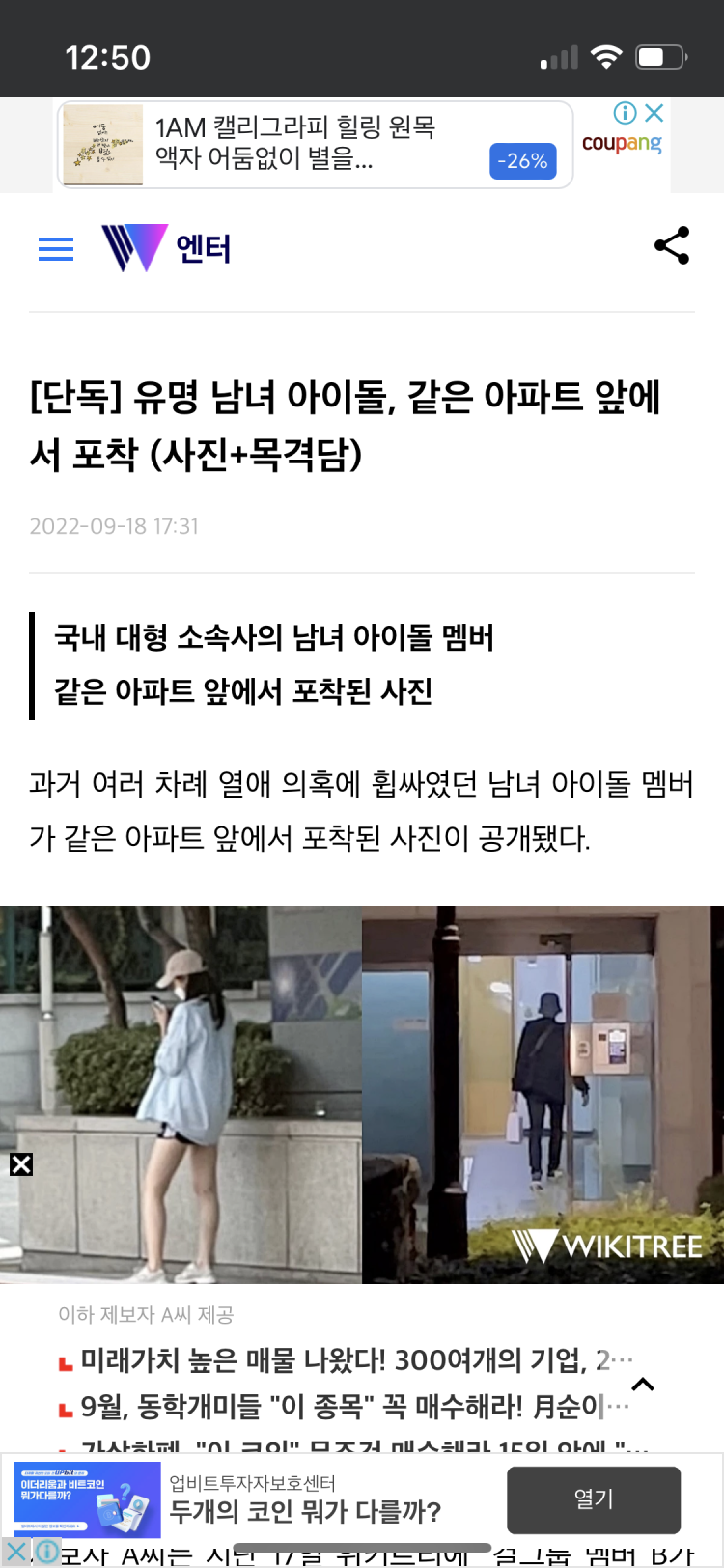 위키트리 열애설 지식in