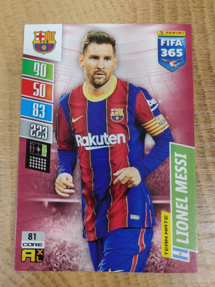 FANINI FIFA365 ADRENALYN 카드 : 지식iN