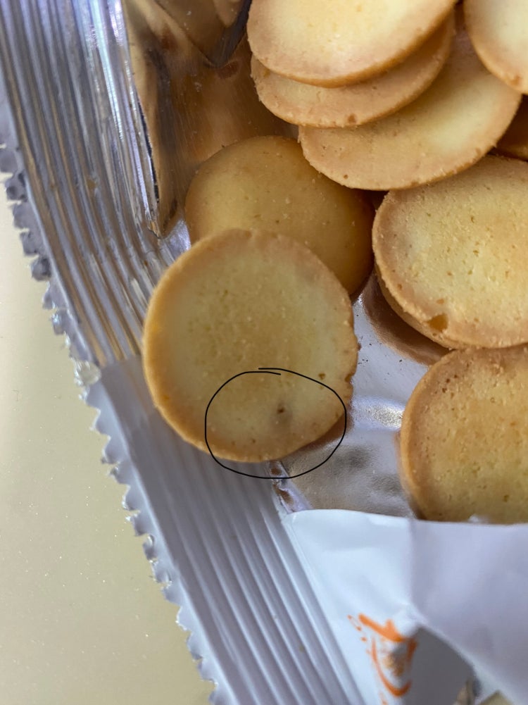 우리밀 계란 과자인데 곰팡이 일까요 지식in