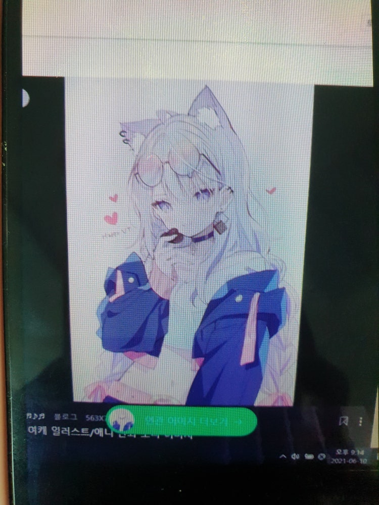 이거 일러좀 찾아주실 분ㅠㅠ 사진있어요 지식in
