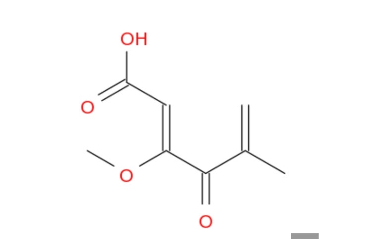 페니실린산 화학구조 lactone ring : 지식iN