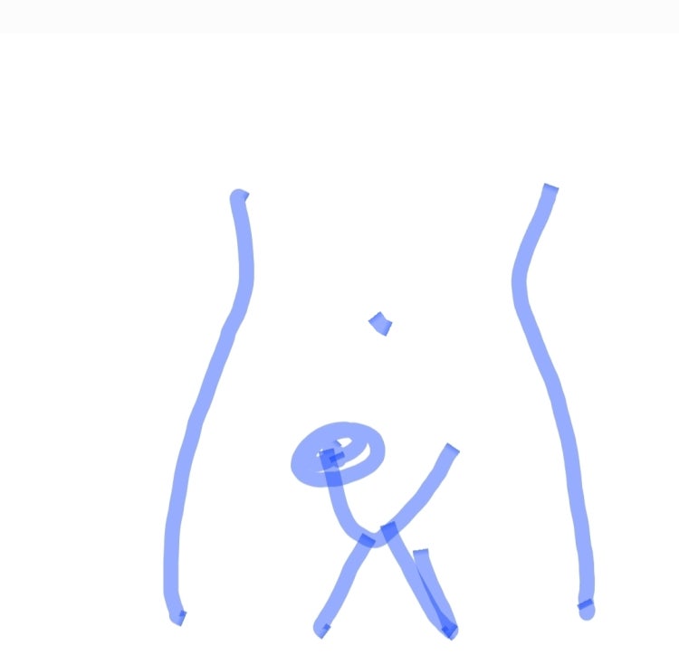 여자 생식기 위쪽 통증 지식in