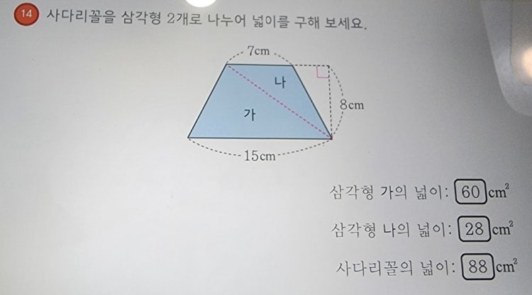 5학년 수학 사다리꼴, 삼각형 넓이 구하기 알려주세요 : 지식iN