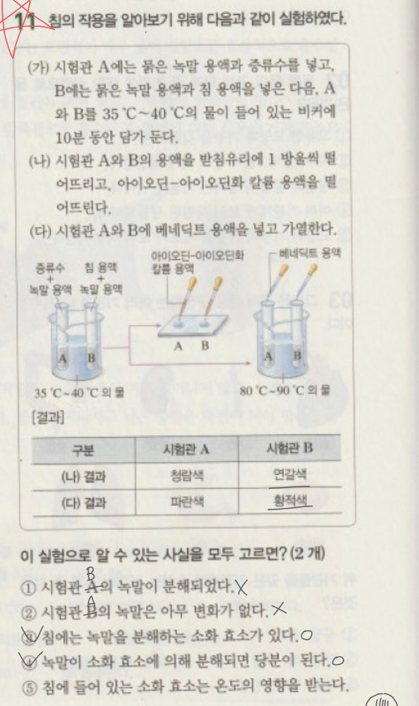 중학교 2학년 과학 소화계 아밀레이스는 온도에 영향을 받나요 지식in