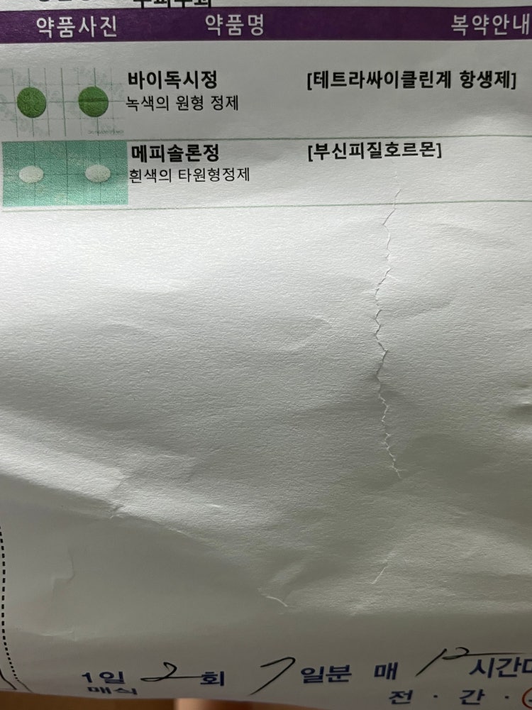 피부과 약 체중증가 지식in