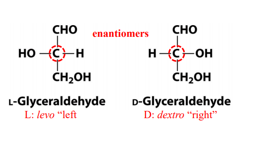 거울상 이성질체 L form D form 관련 질문 : 지식iN