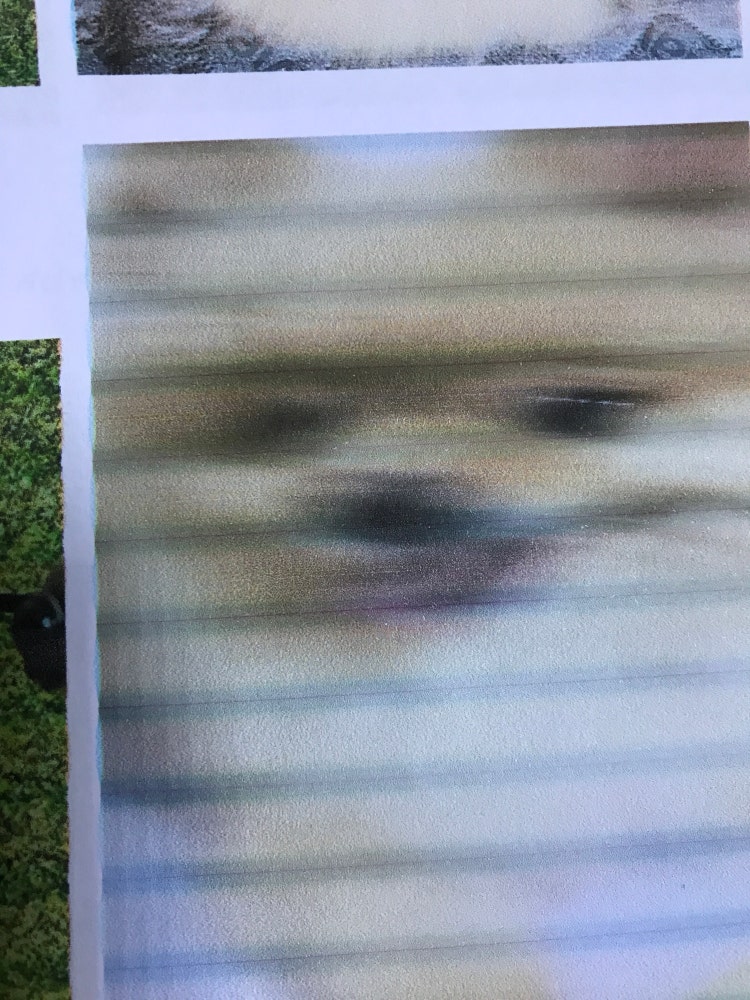 캐논 프린트기 인쇄 시 줄 생김 문제 지식in