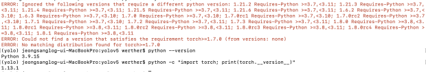 mac 파이토치 설치(yolo5)에러 : 지식iN