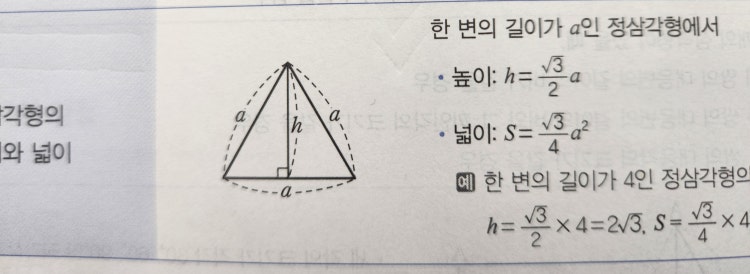 정삼각형 높이 넓이 공식 : 지식iN