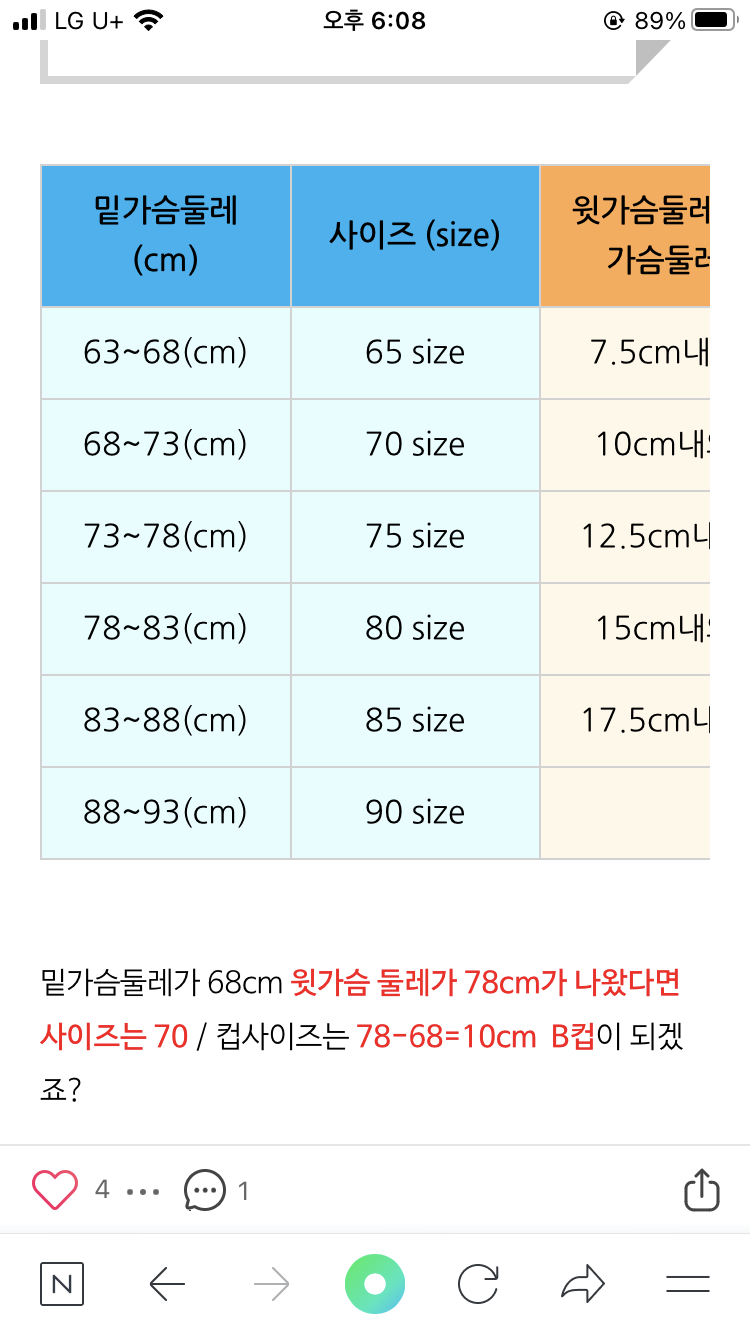 여자 가슴 사이즈 지식in