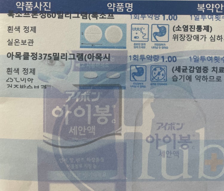 항생제 소염진통제 붓기 체중증가 지식in