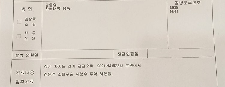 무배당 롯데 더알찬 건강보험1904 지식in
