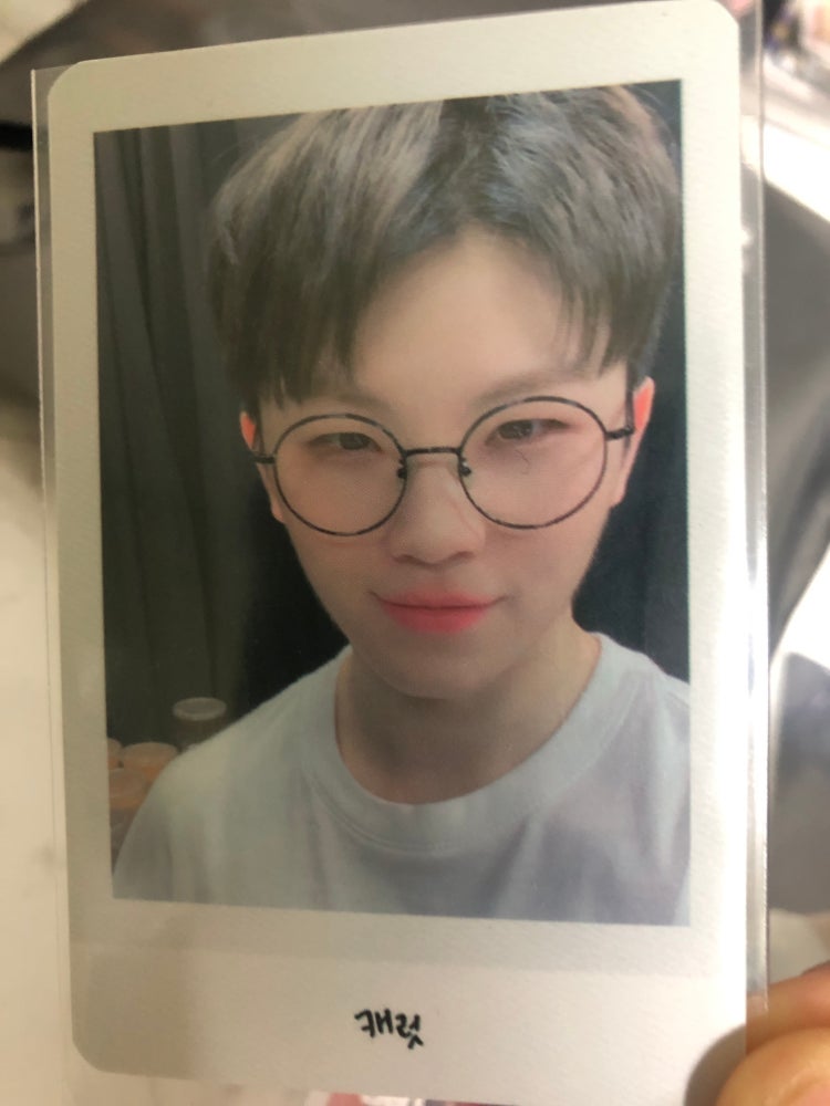 우지포카 시세가 궁금해요! : 지식iN